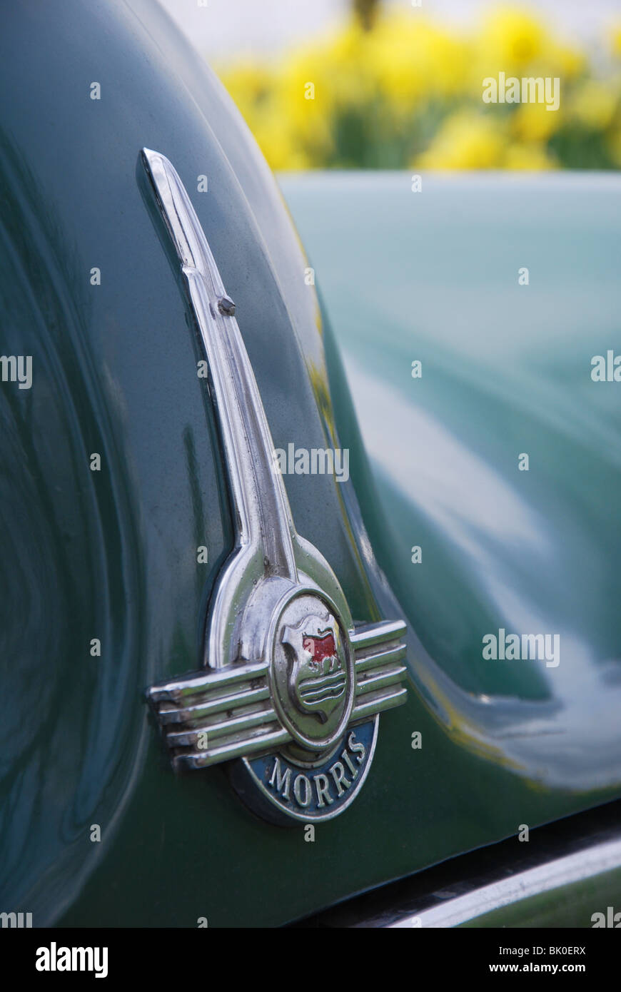 detail of Morris logo on 1966 almond green Morris Minor Stock Photo - Alamy