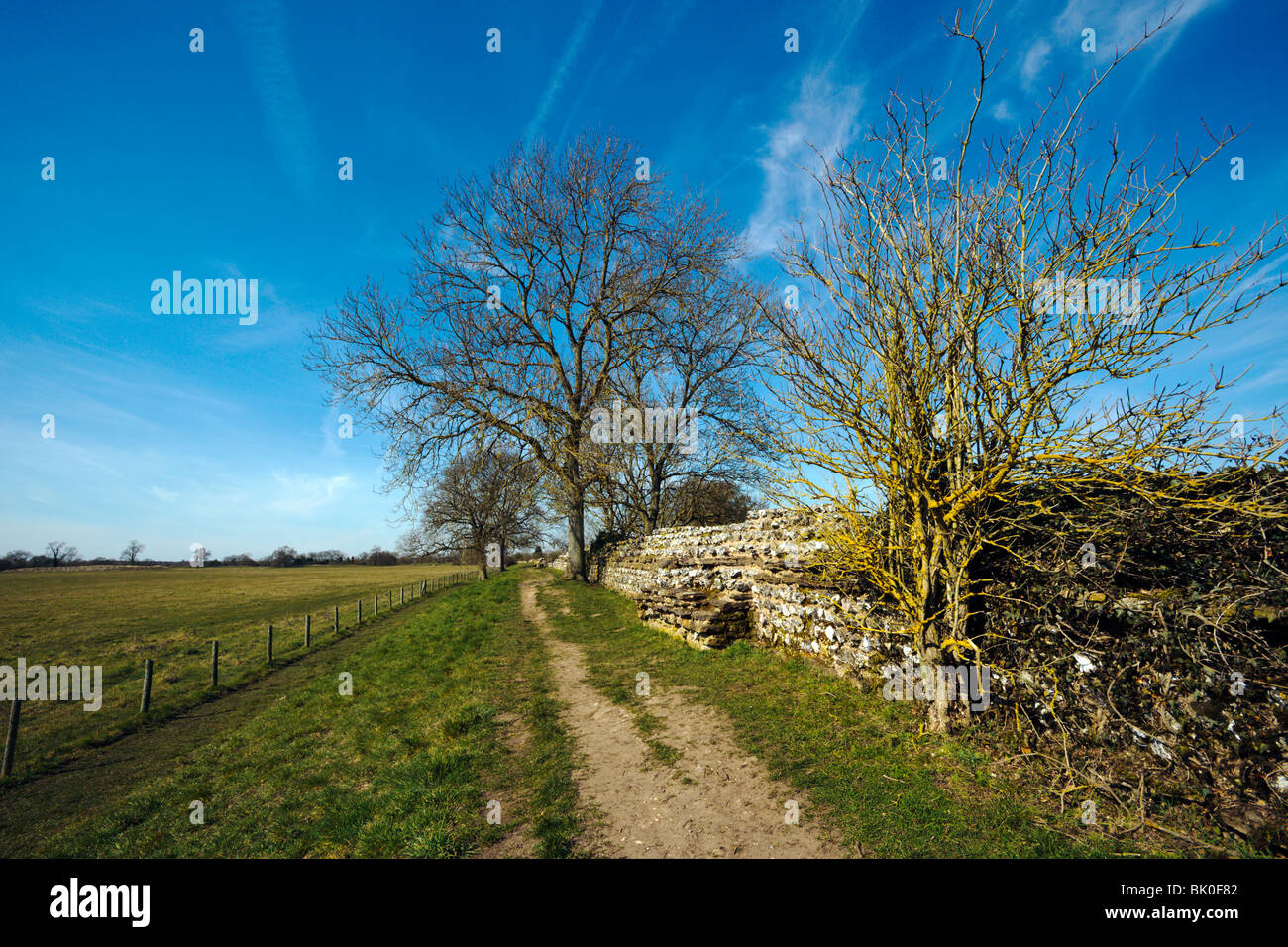 The remaining 2.8Km stone defensive walls of Calleva Atrebatum Roman ...