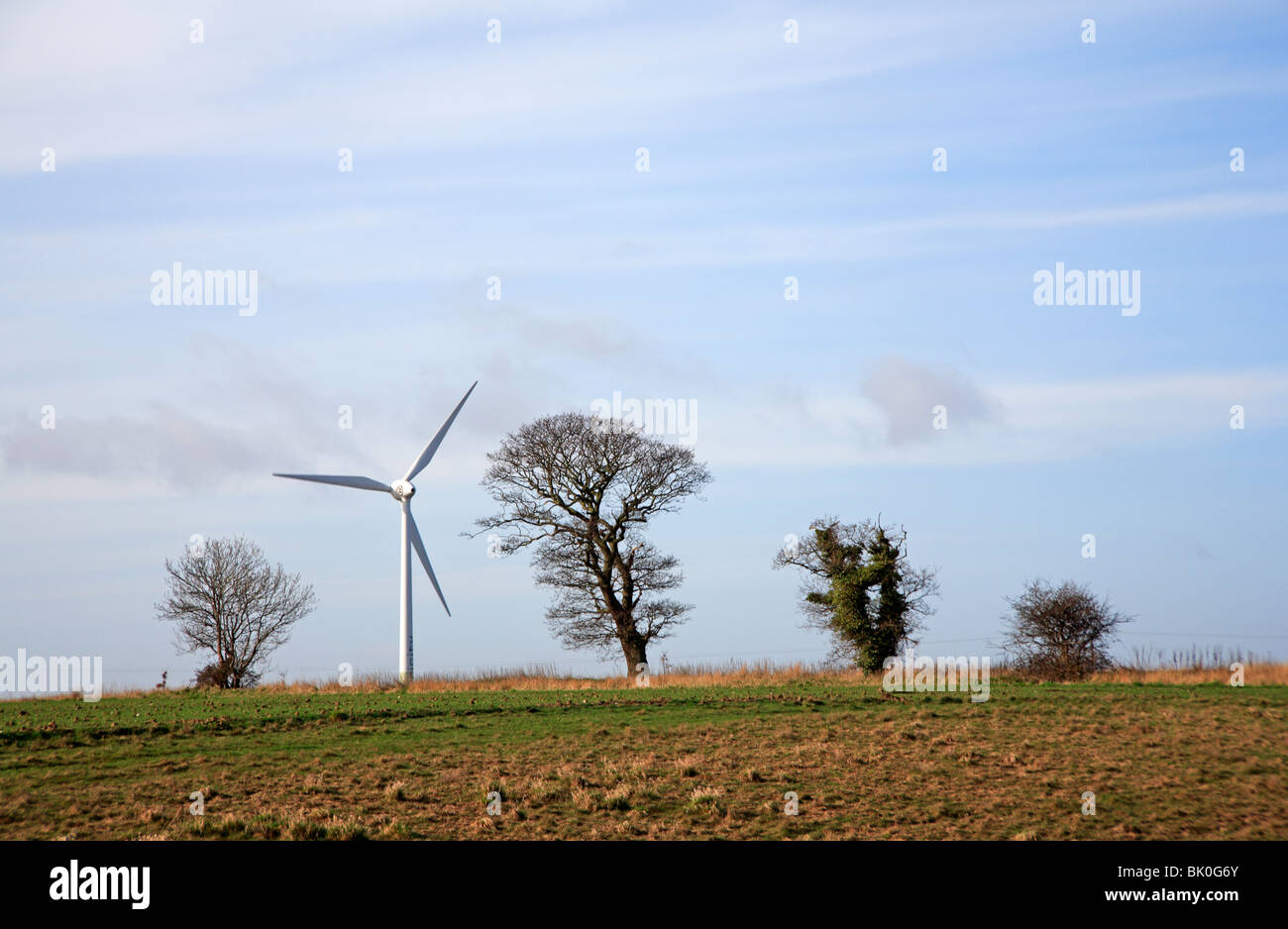 Trees and wind turbine blades hi-res stock photography and images - Alamy