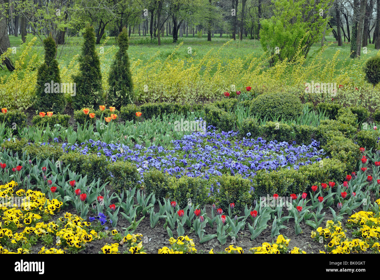 Flower lawn in spring garden Stock Photo - Alamy