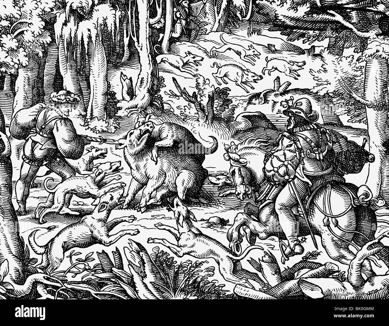 German boar spear Black and White Stock Photos & Images - Alamy