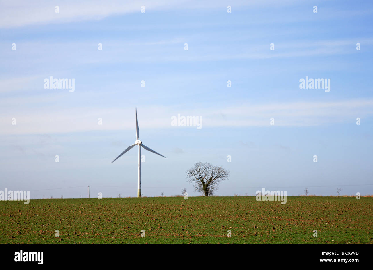 Wind turbine with single tree at West Somerton, Norfolk, England ...
