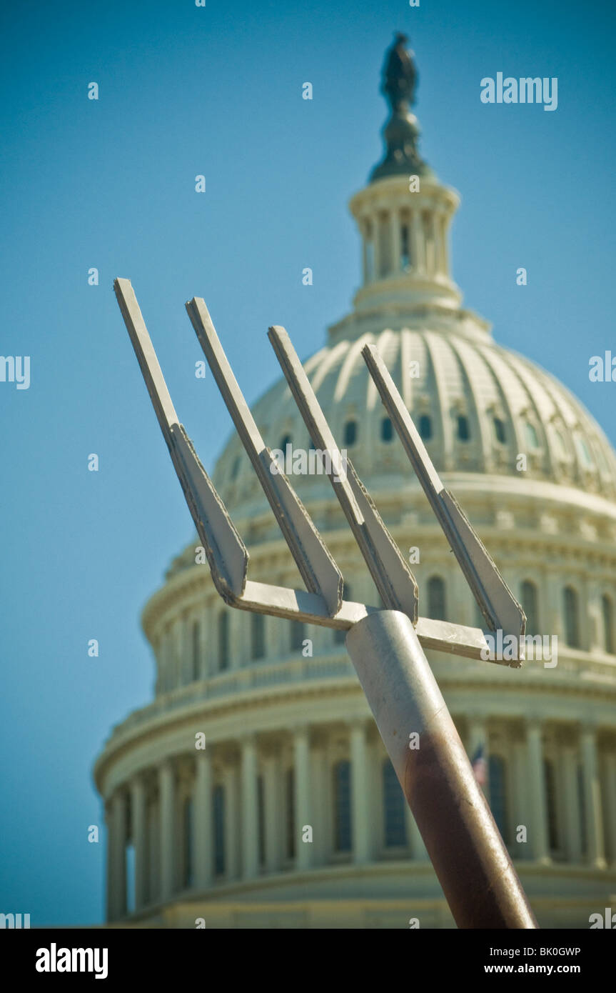 Tea party protesters demonstration, Washington, DC, USA Capitol Dome ...
