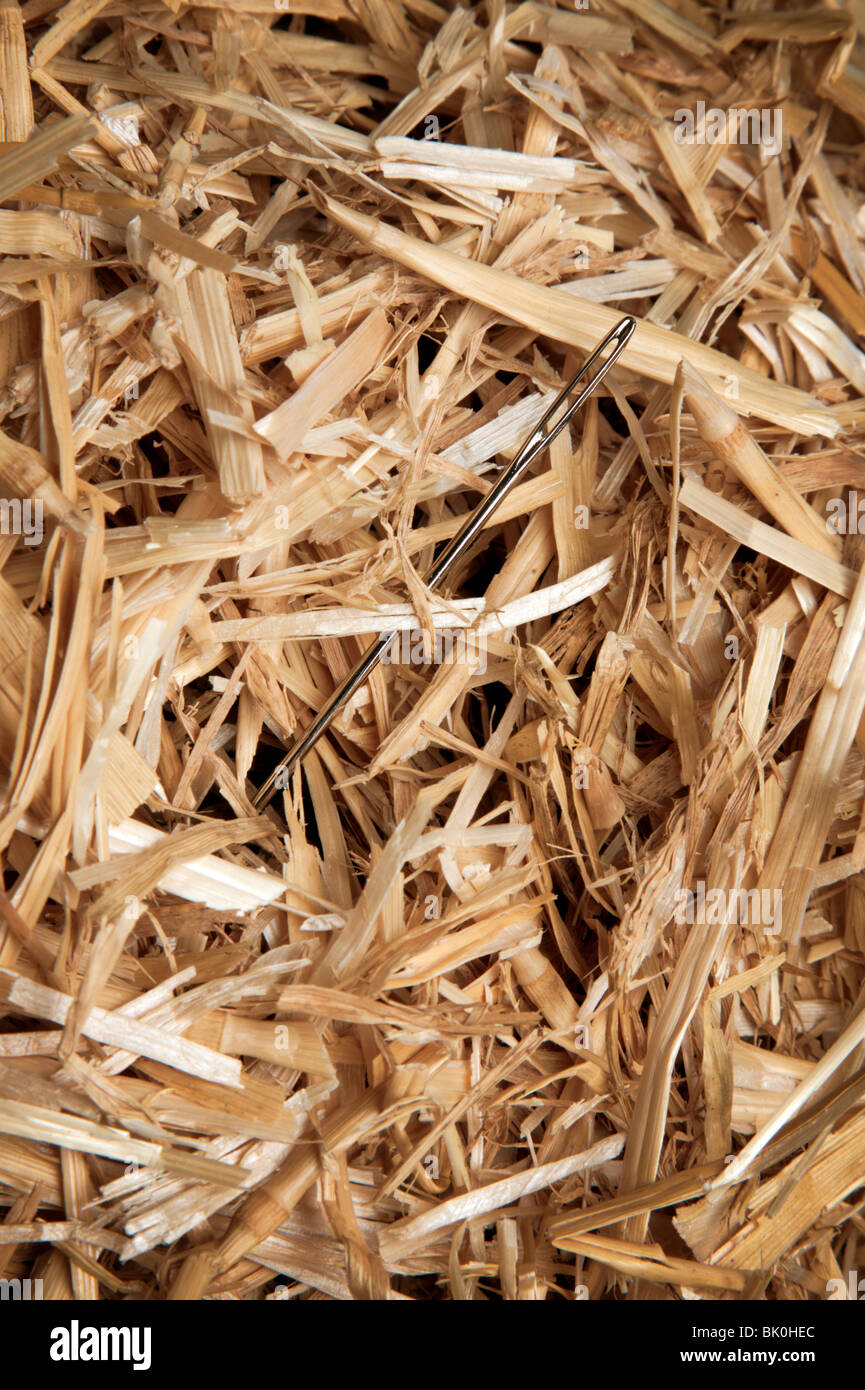 Needle in straw or hay stack Stock Photo - Alamy