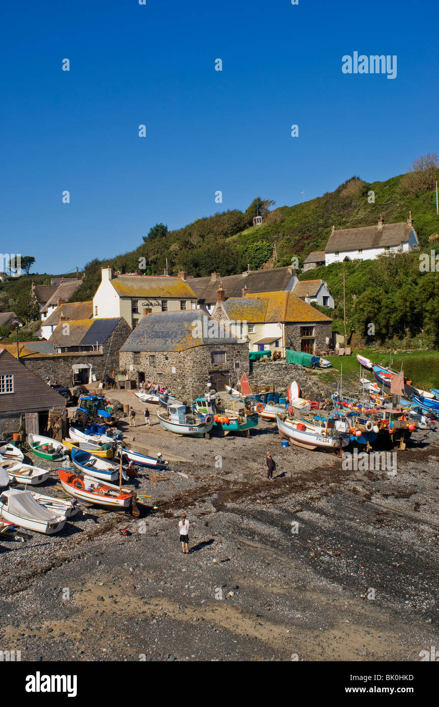 Harbour cadgwith cornwall cornish hi-res stock photography and images ...