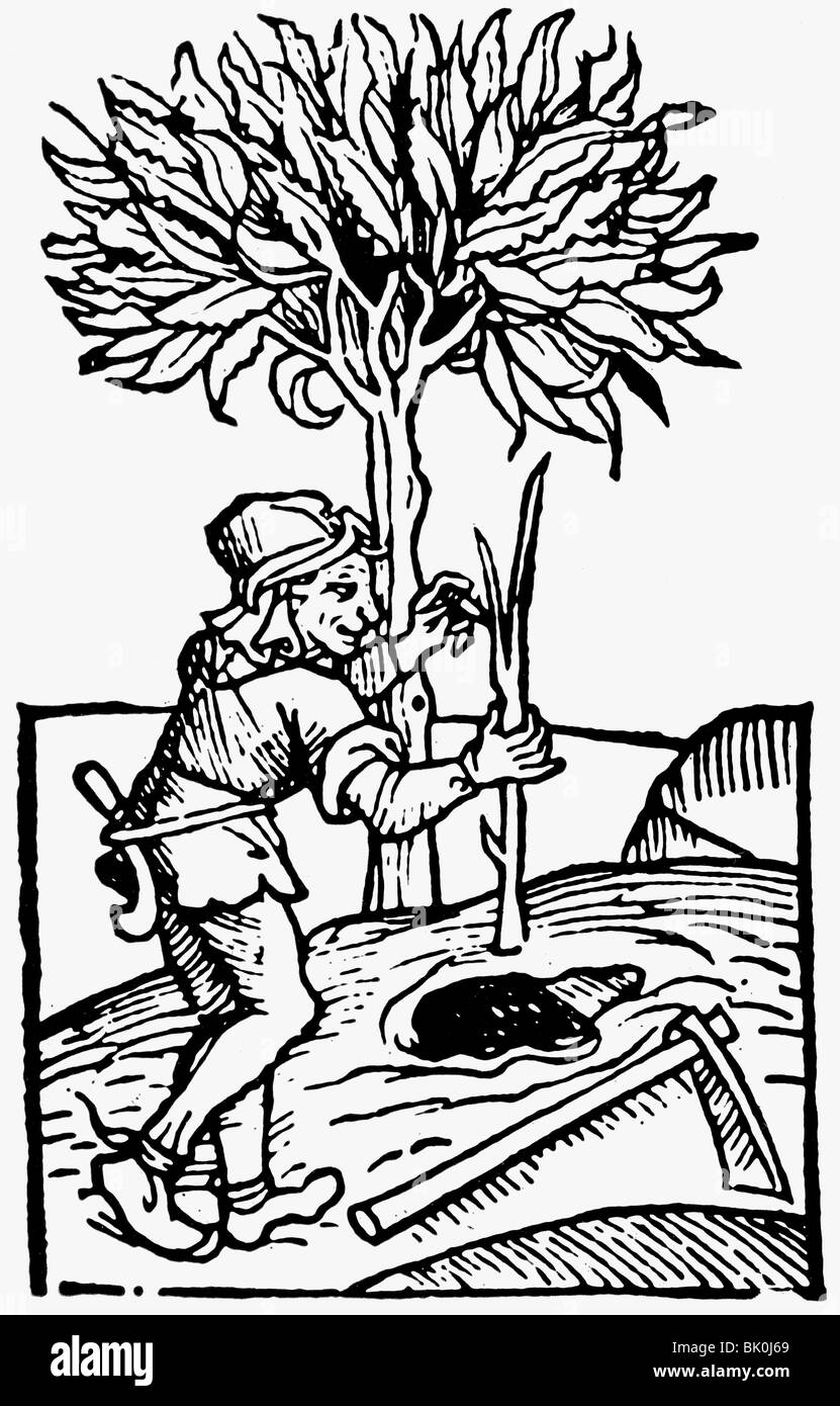 agriculture, farm labour, planting a tree, woodcut, "Ruralia commoda ...