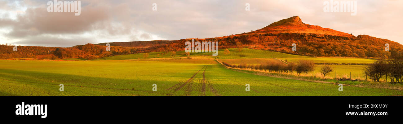 Roseberry Topping Panorama at sunset Stock Photo - Alamy