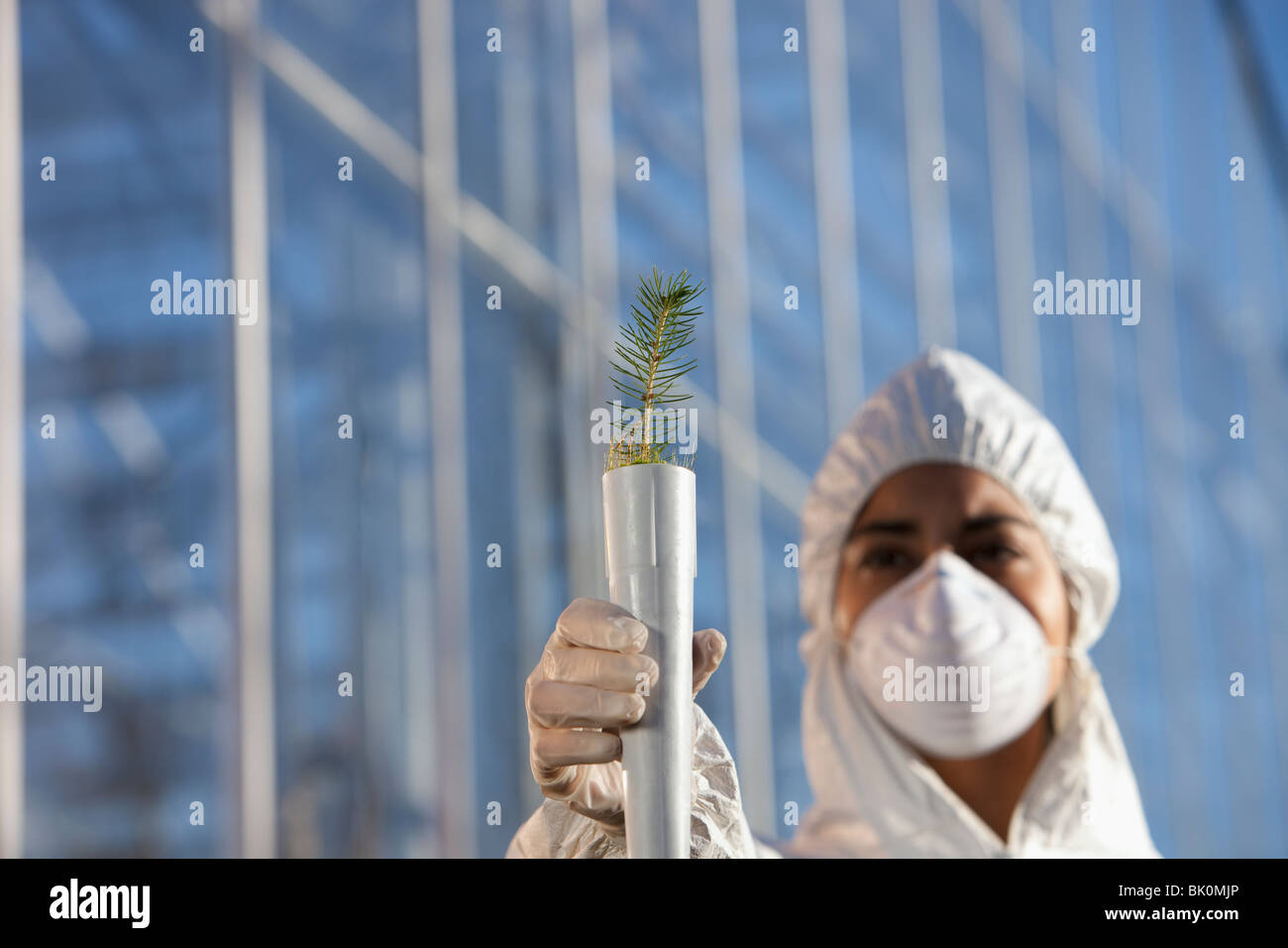 Scientist in clean suit holding tree seedling Stock Photo - Alamy