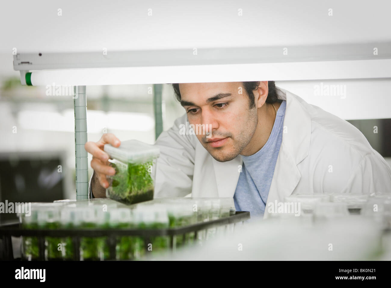 Middle eastern scientist lab group hi-res stock photography and images ...