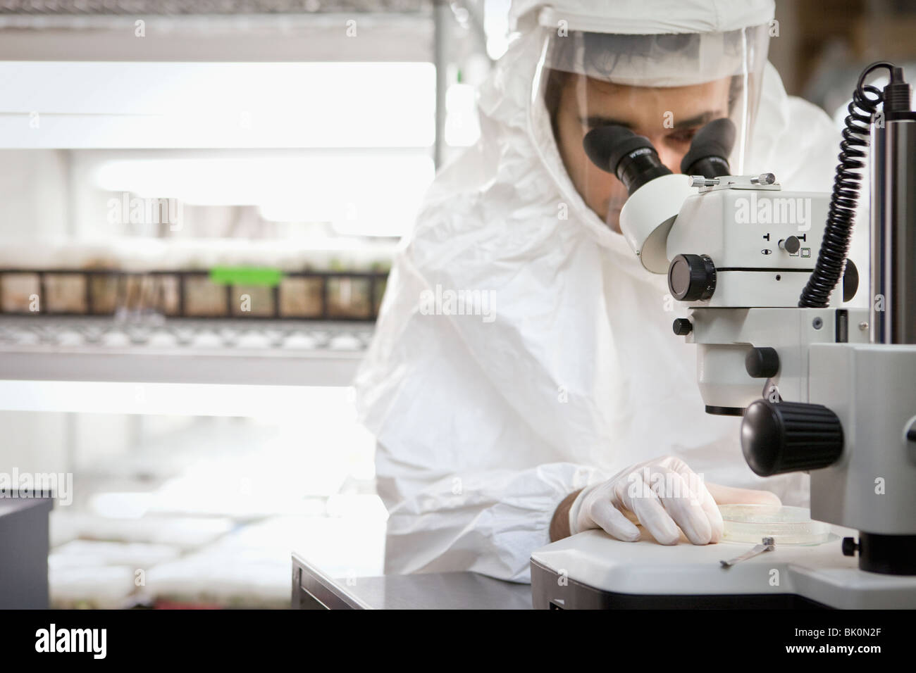 Middle Eastern scientist using microscope in laboratory Stock Photo - Alamy