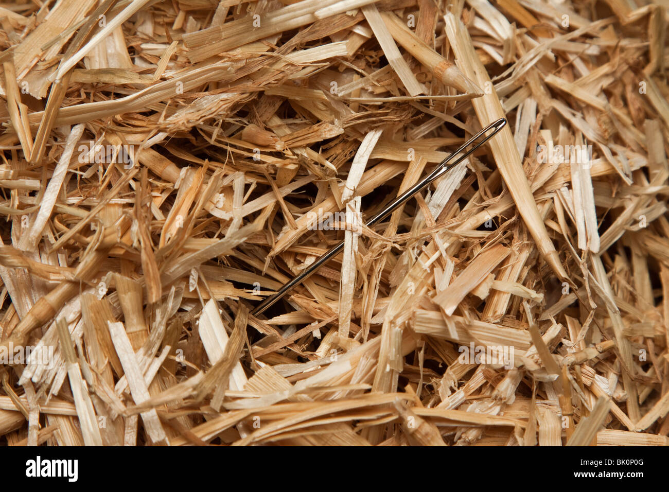 Needle in straw or hay stack Stock Photo - Alamy