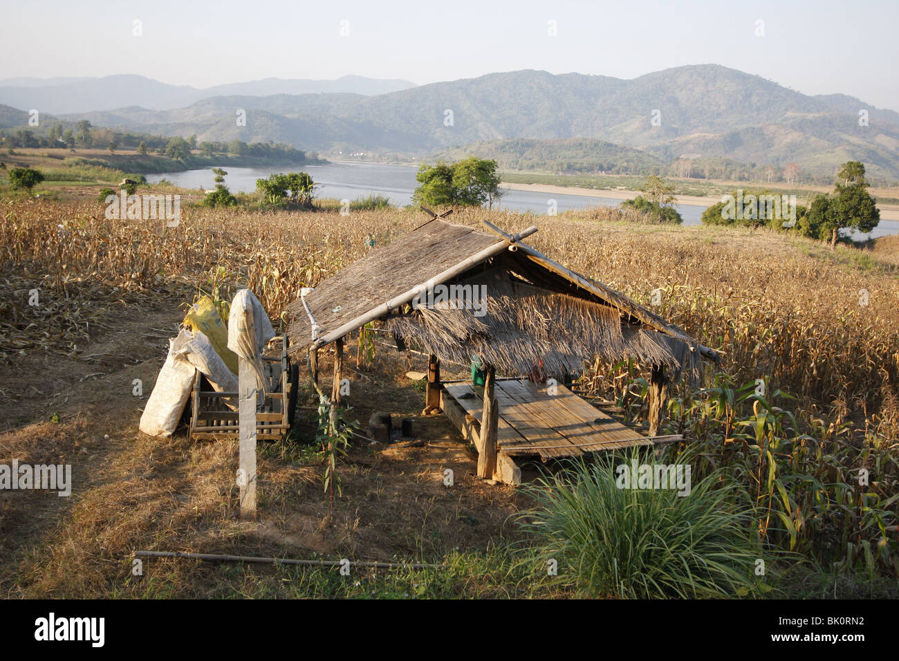 Corn laos hi-res stock photography and images - Alamy