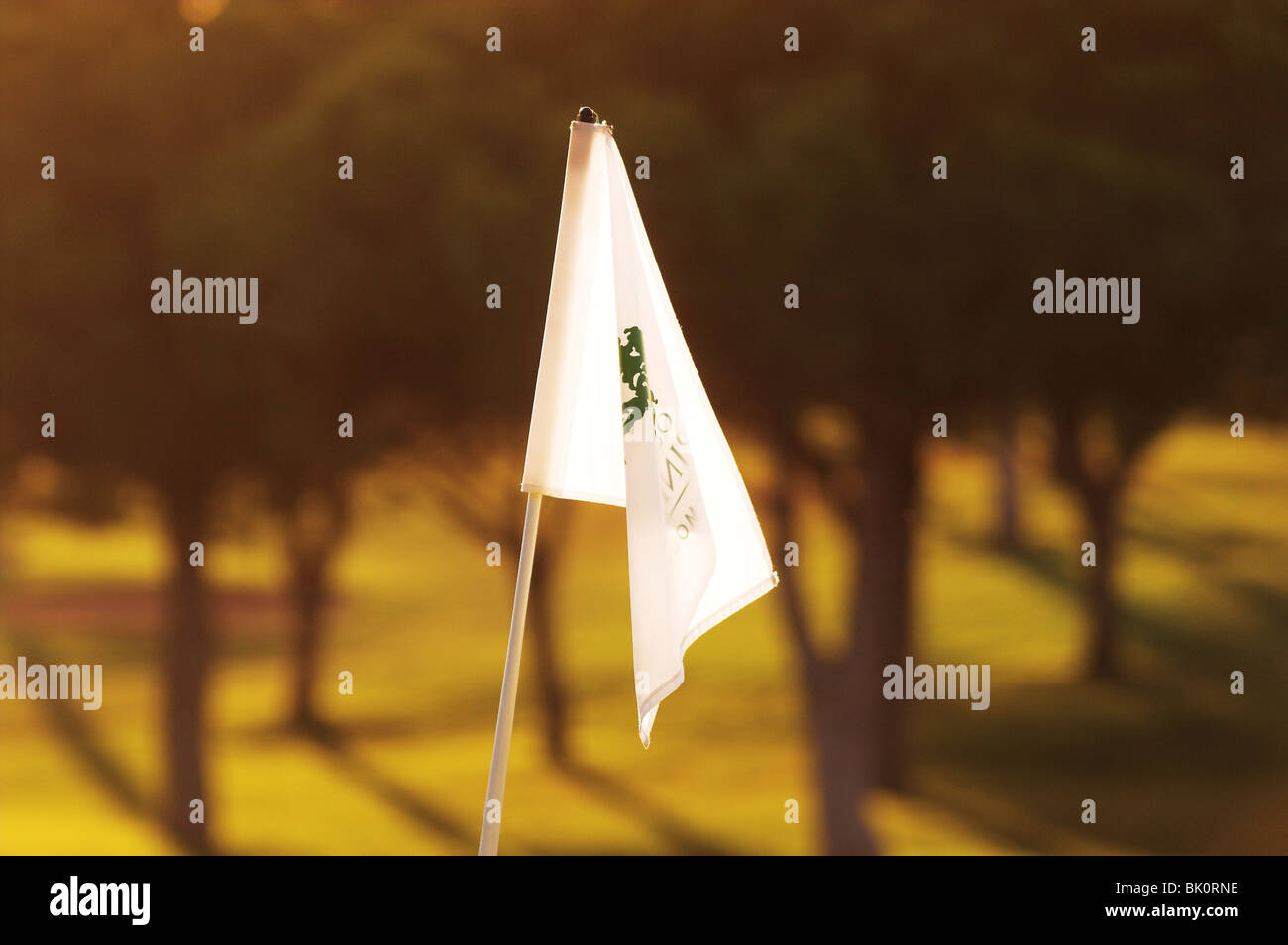 White golf flag standing limp on putting green. Sunset late afternoon ...