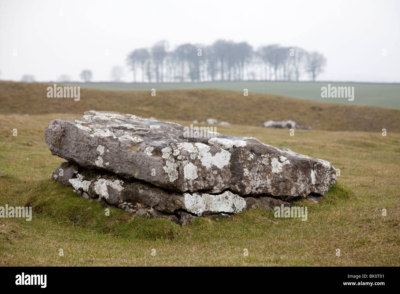 Arbor Low is a Neolithic henge monument in the White Peak, part of the ...