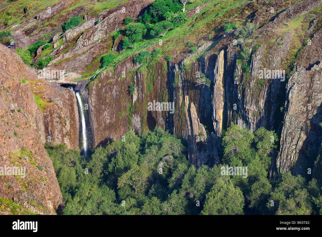 Beatson Falls, Table Mountain, California Stock Photo - Alamy