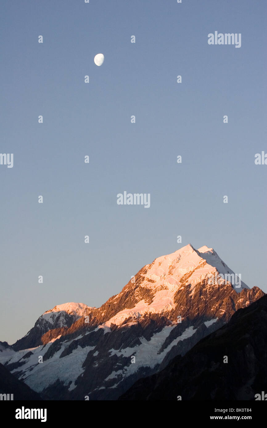 Sunset on Mt Cook with Moon, New Zealand South Island Stock Photo - Alamy