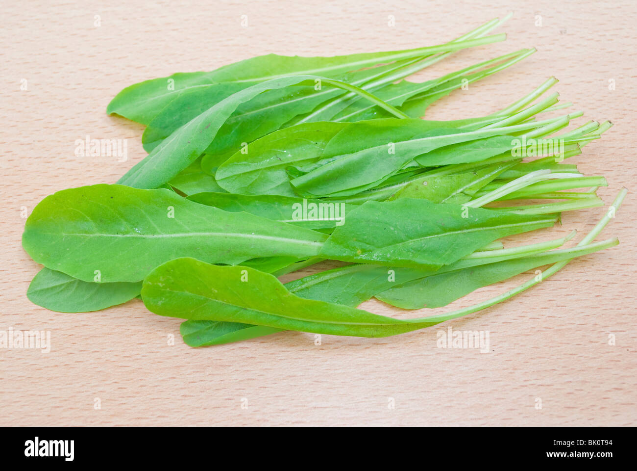 Baby rocket hi-res stock photography and images - Alamy