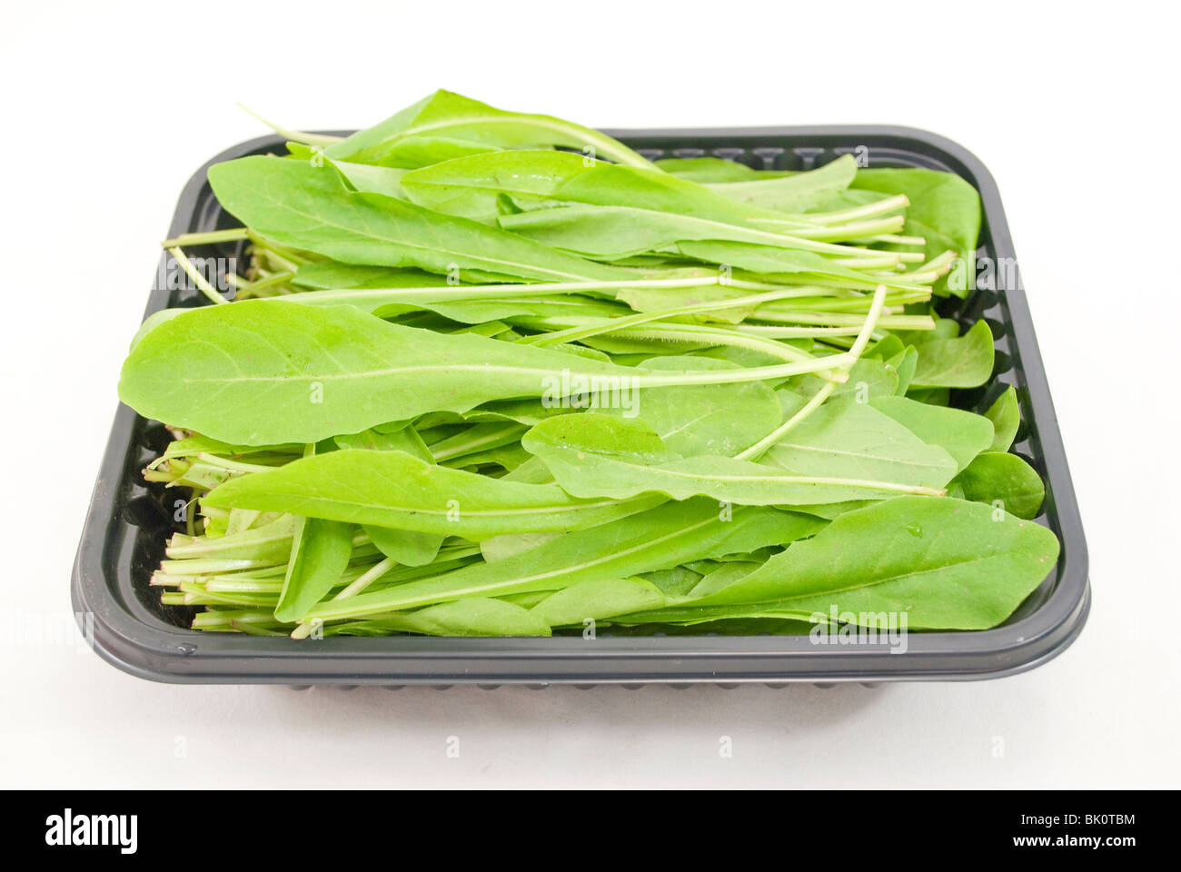 Baby rocket hi-res stock photography and images - Alamy