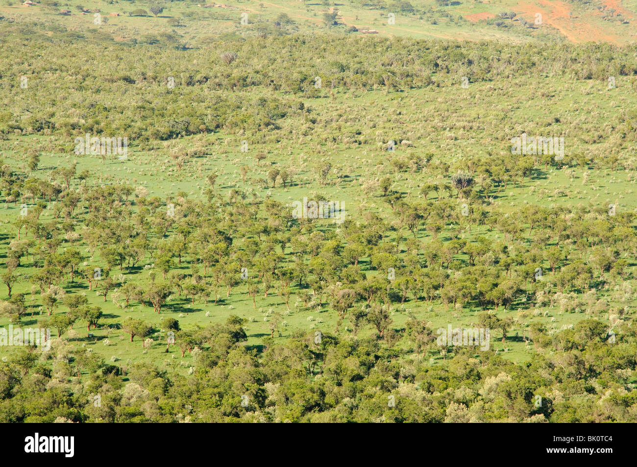 African savanna hi-res stock photography and images - Alamy
