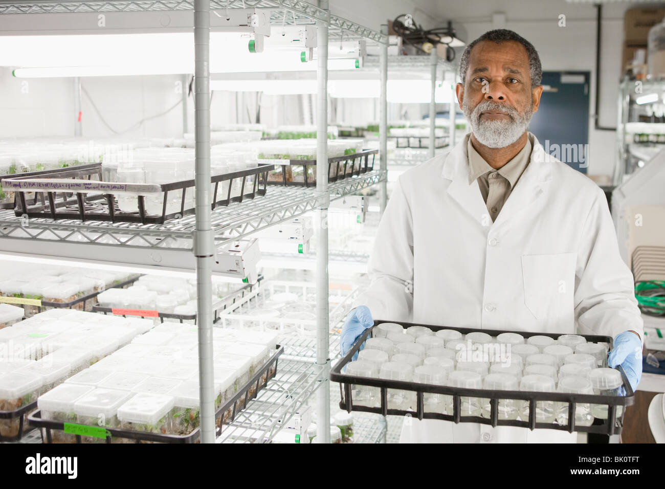 African American scientist working in laboratory Stock Photo - Alamy