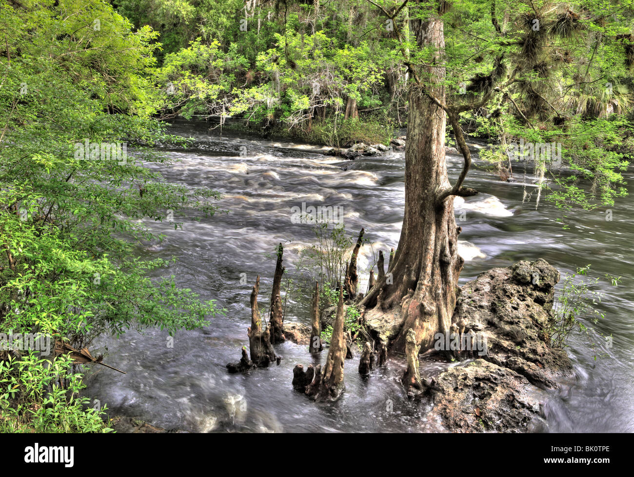 Rapids, Hillsborough River State Park, Florida Stock Photo - Alamy