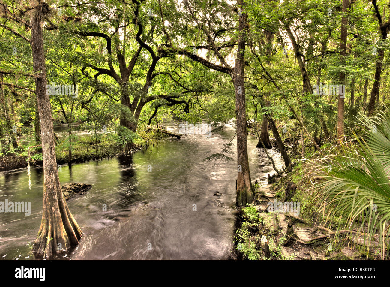 Hillsborough River, Hillsborough River State Park, Florida Stock Photo ...