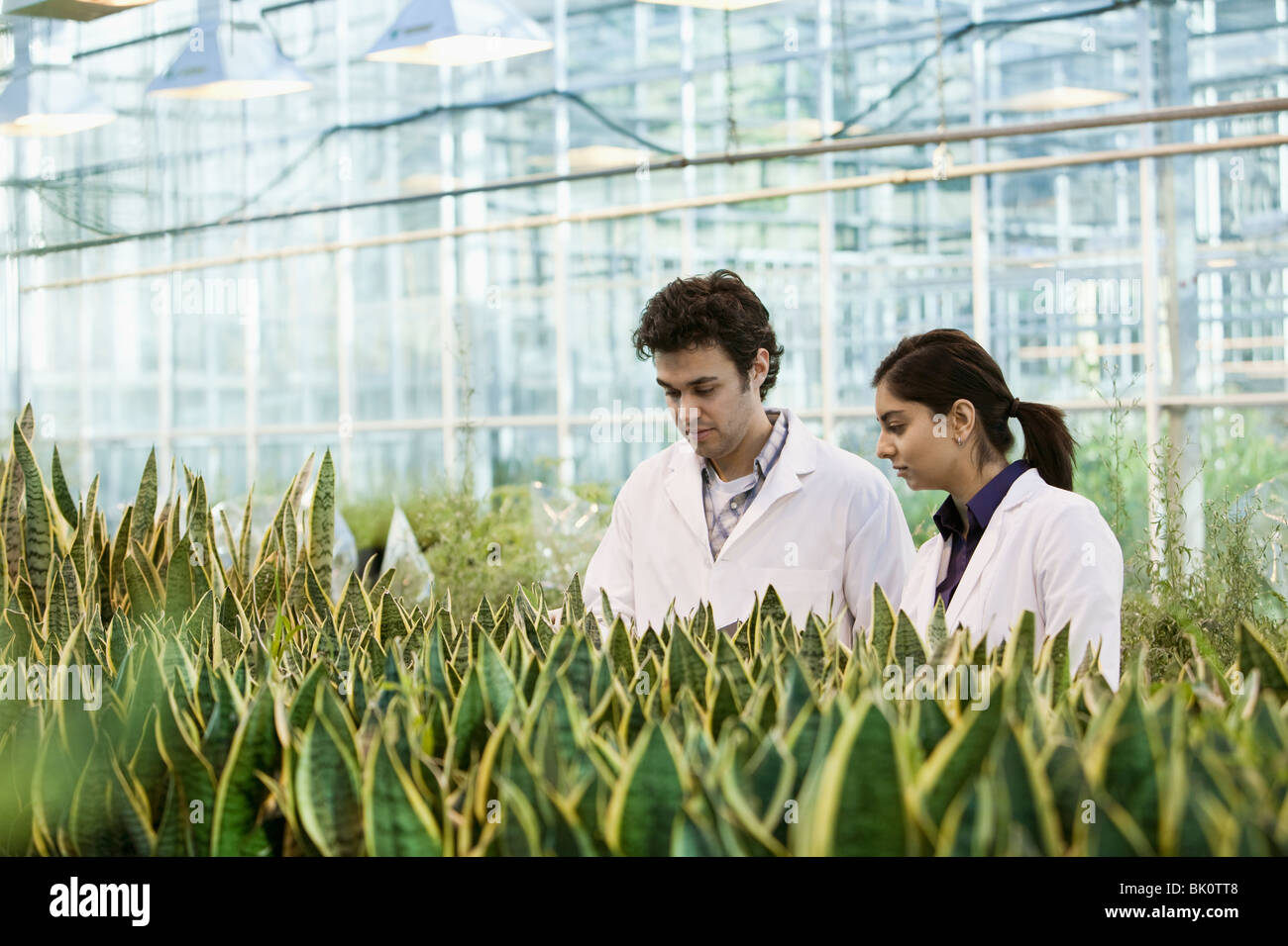 Scientists research in nature hi-res stock photography and images - Alamy