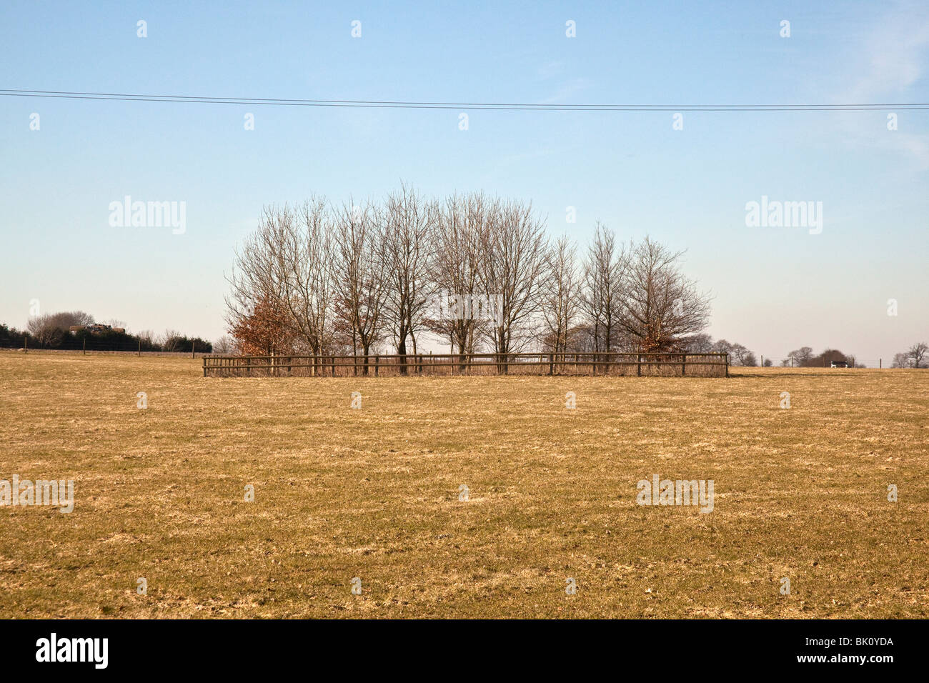 English trees hi-res stock photography and images - Alamy