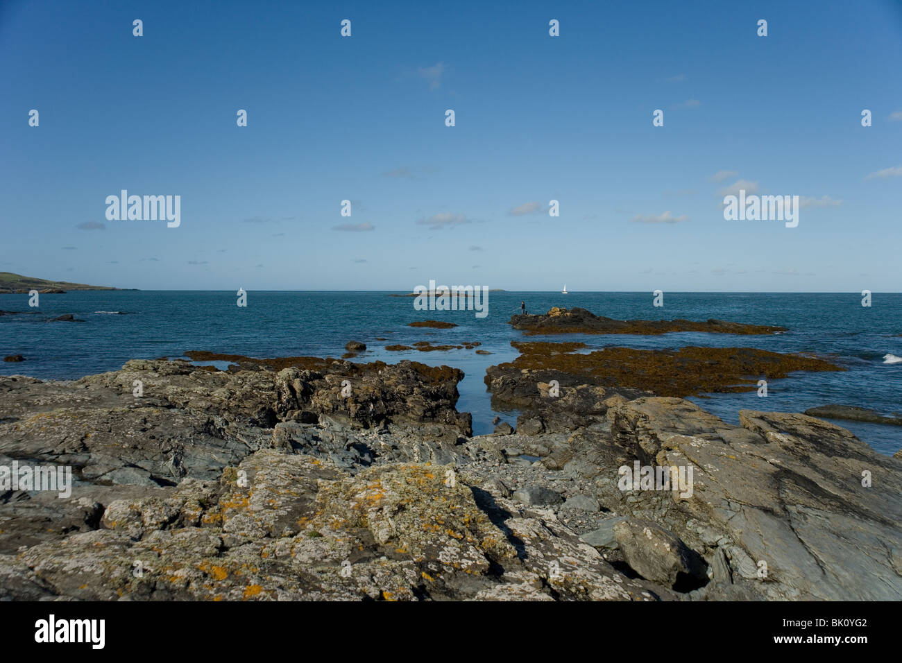 Skerries Lighthouse from Wylfa Head from the Anglesey coastal path ...