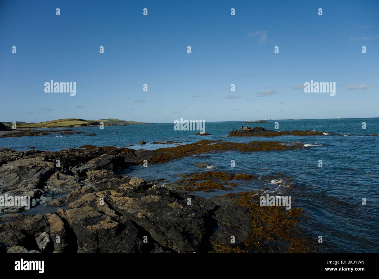 Skerries Lighthouse from Wylfa Head from the Anglesey coastal path ...