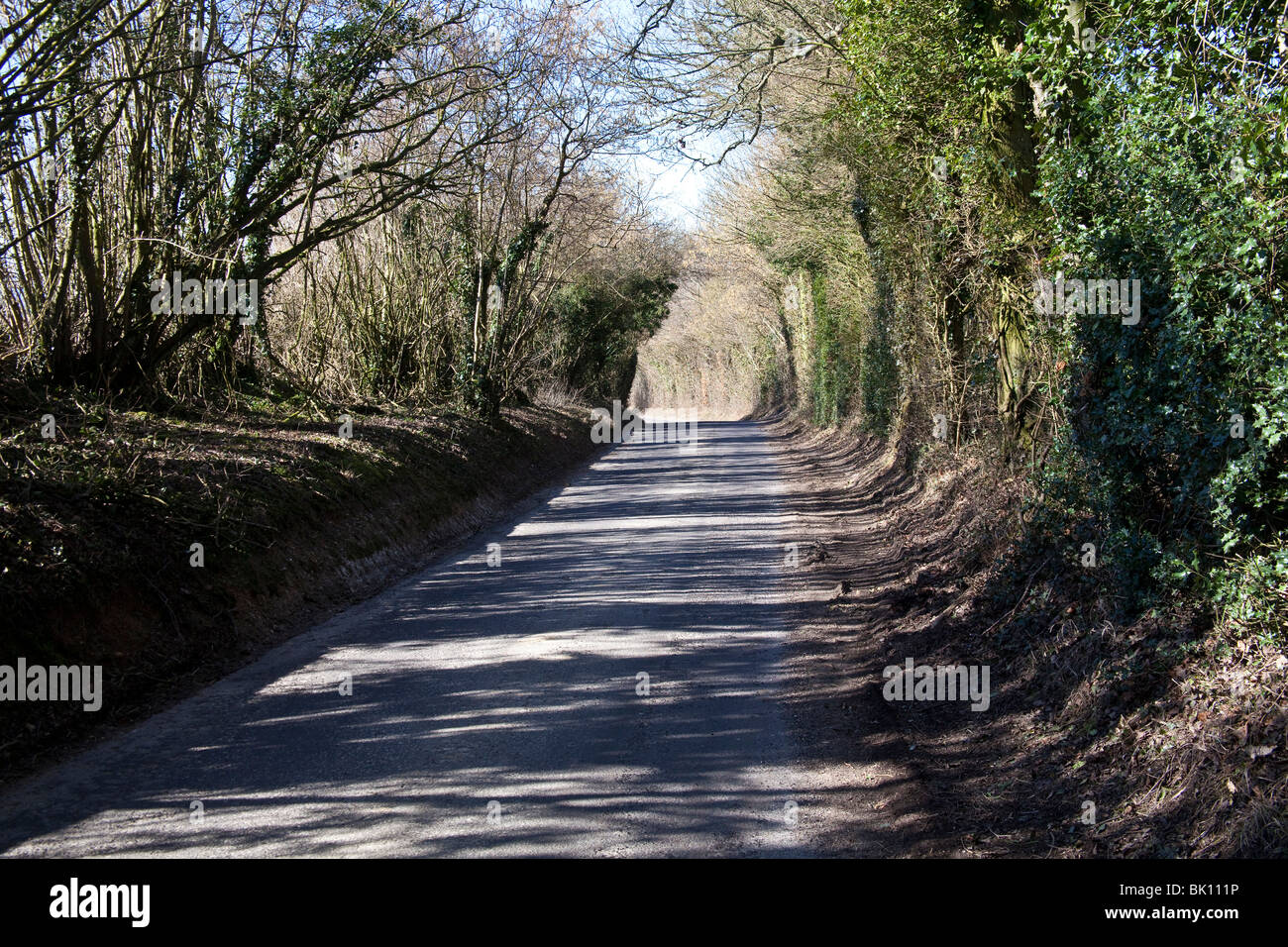Rural country lane Hampshire, England Stock Photo - Alamy