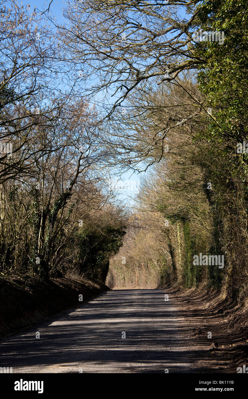 Rural country lane hi-res stock photography and images - Alamy
