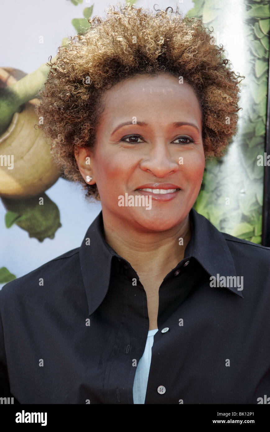 Wanda sykes hi-res stock photography and images - Alamy