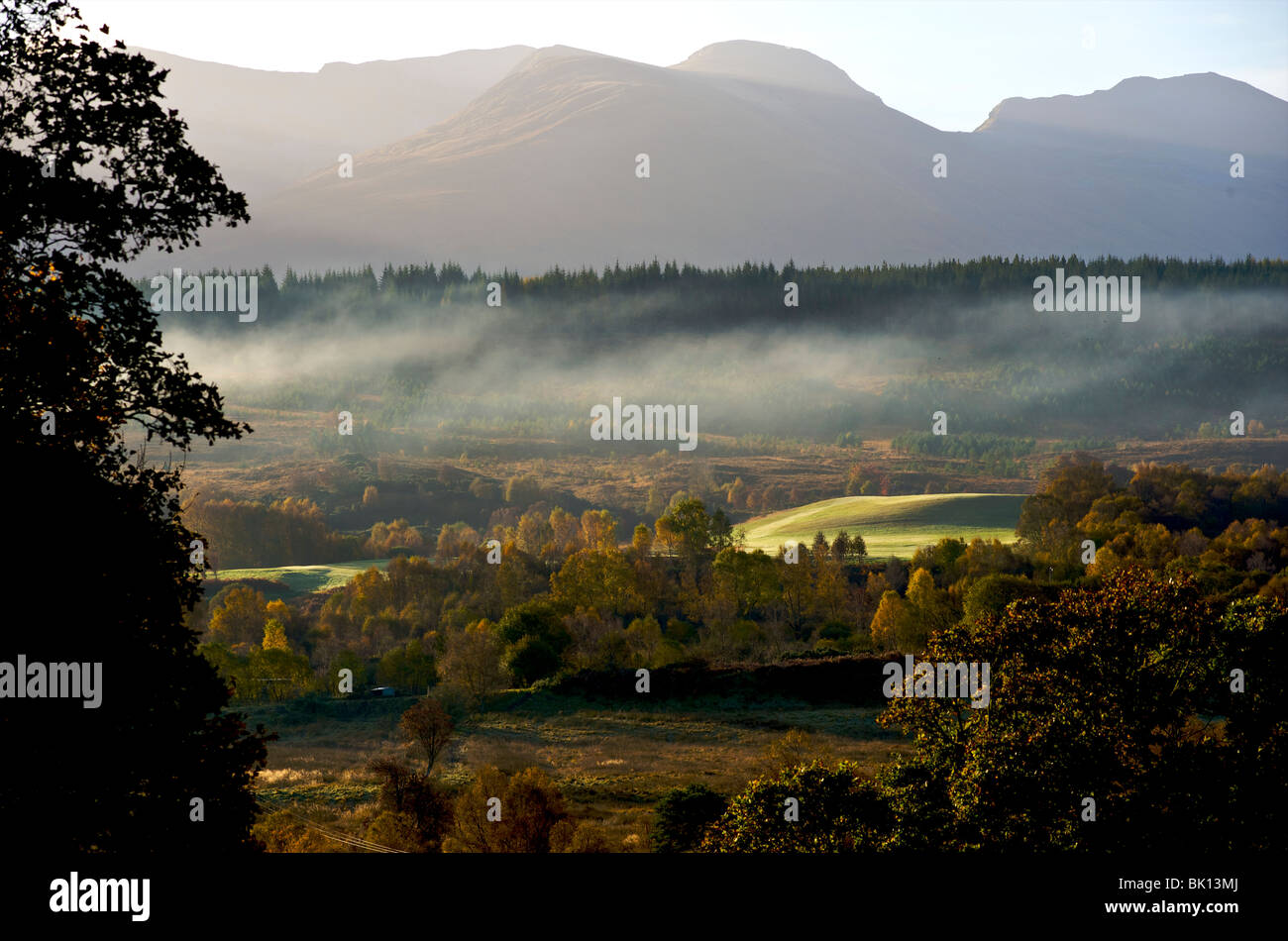 Scotland, mist on an autumn morning Stock Photo - Alamy