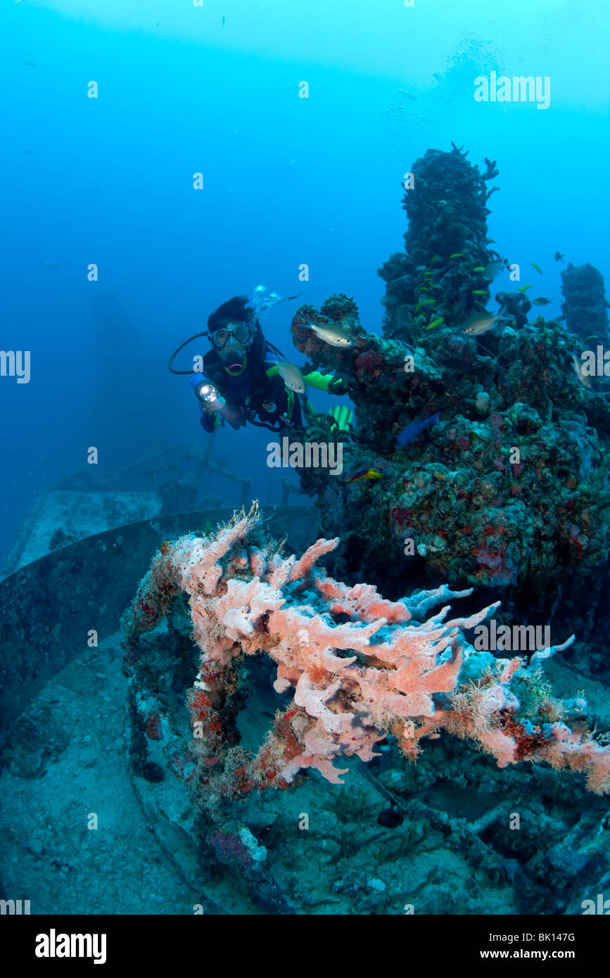 Scuba diver on the Spiegel Grove shipwreck, Key Largo, Florida, in the ...