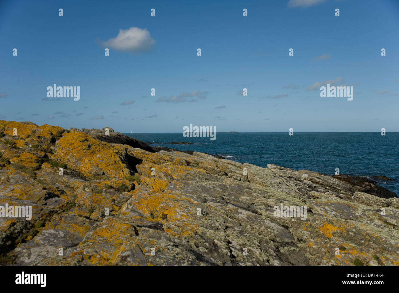 Skerries Lighthouse from Wylfa Head from the Anglesey coastal path ...