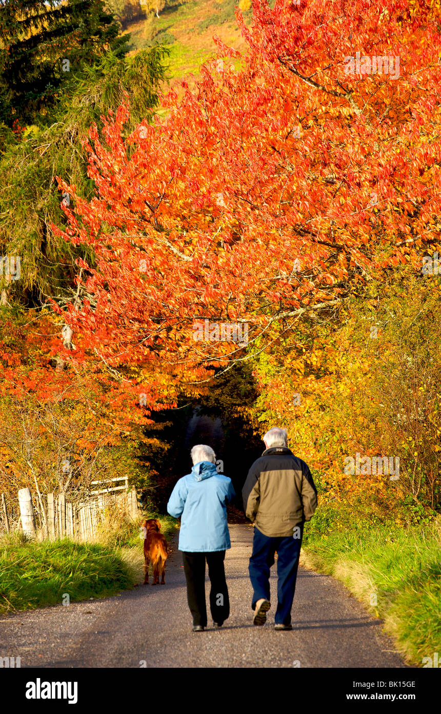 Colorful color colour hi-res stock photography and images - Alamy