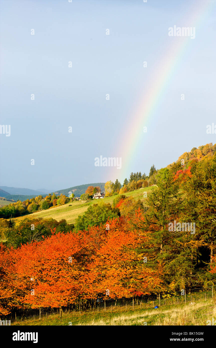 Scotland, autumn colours Stock Photo - Alamy