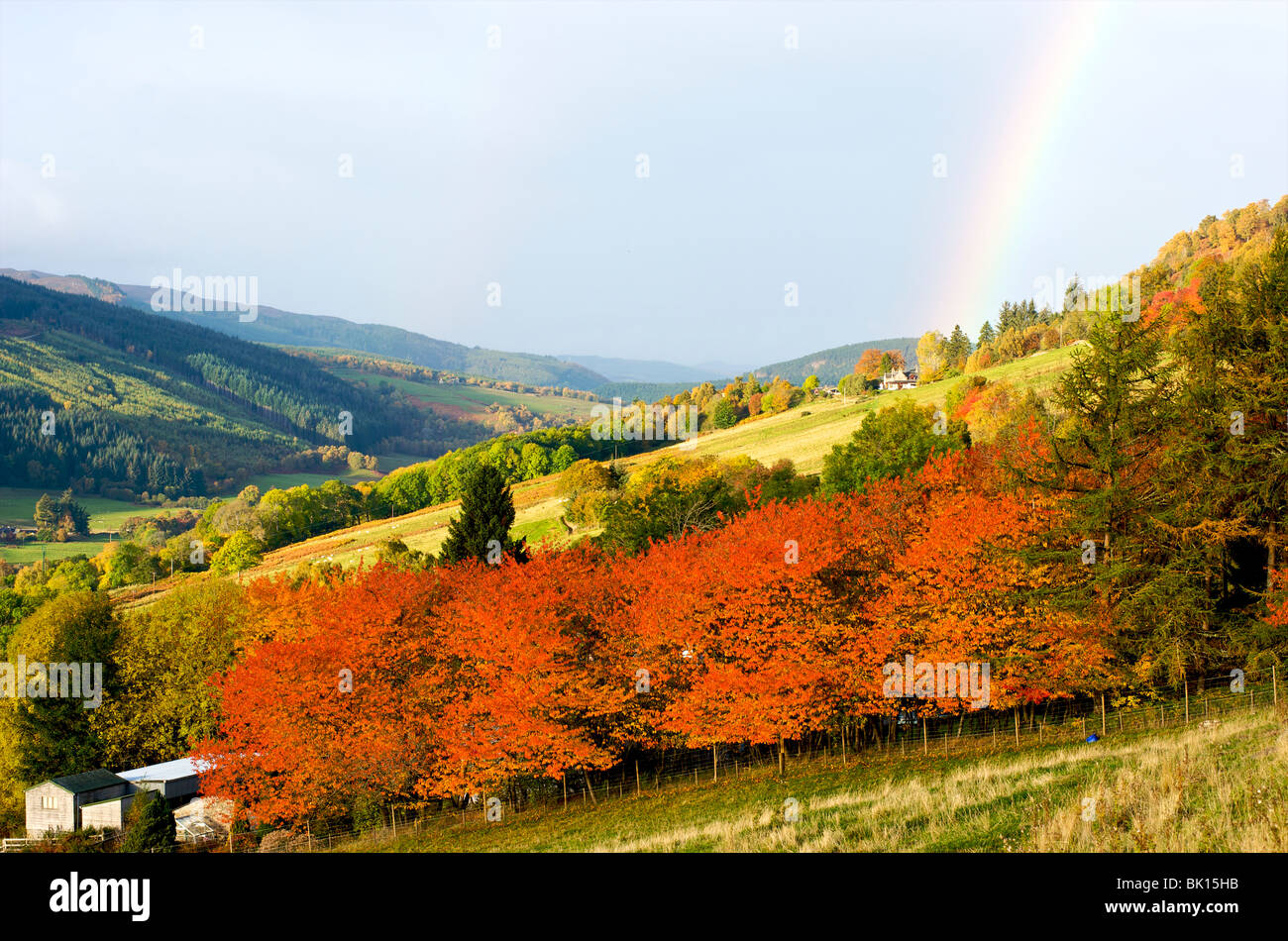 Scotland, autumn colours Stock Photo - Alamy