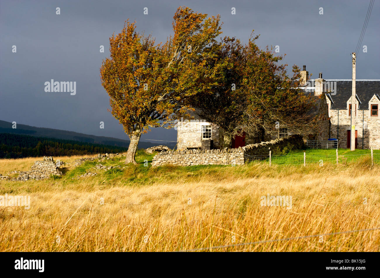Bad weather farming hi-res stock photography and images - Alamy
