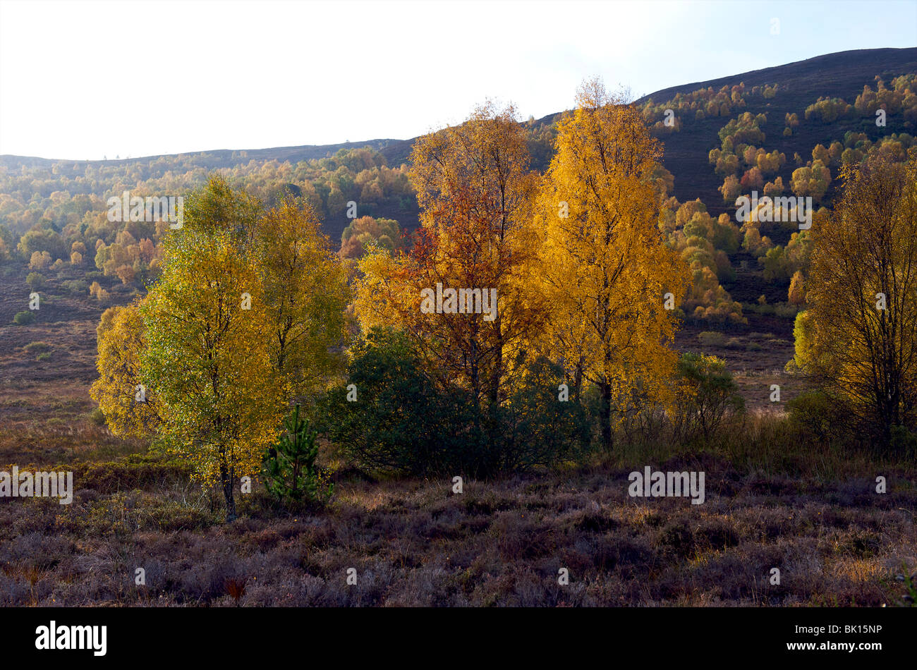 Europa colours hi-res stock photography and images - Alamy
