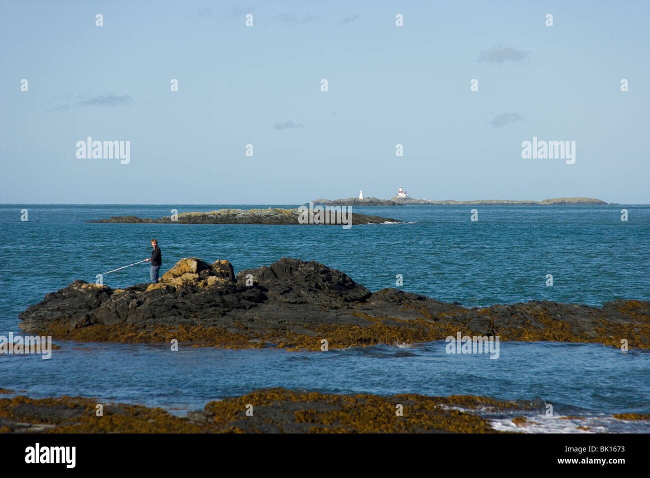 Skerries Lighthouse from Wylfa Head from the Anglesey coastal path ...