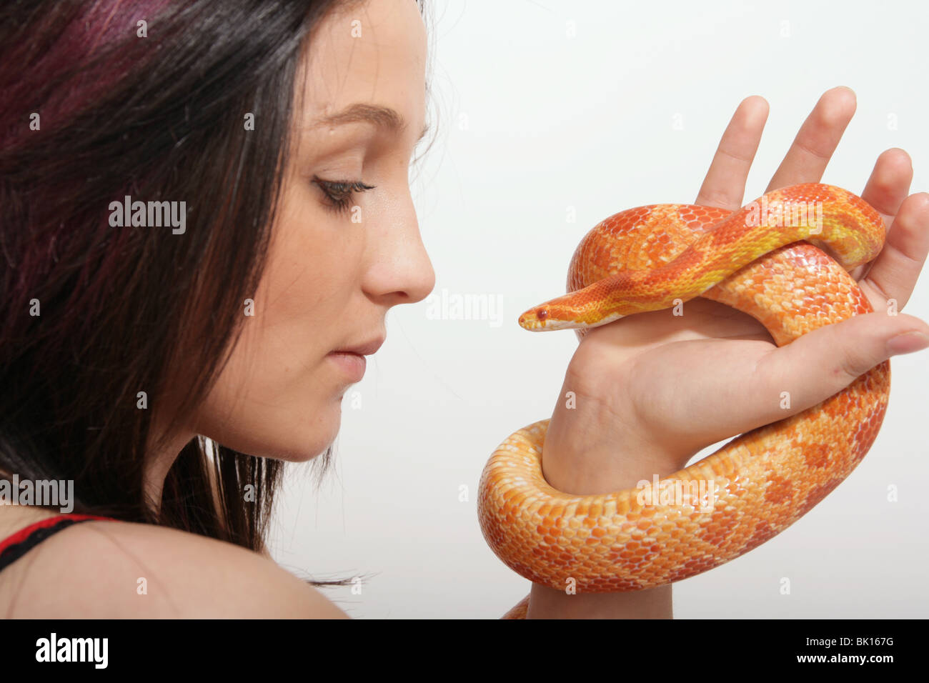 Woman holding snake hi-res stock photography and images - Alamy