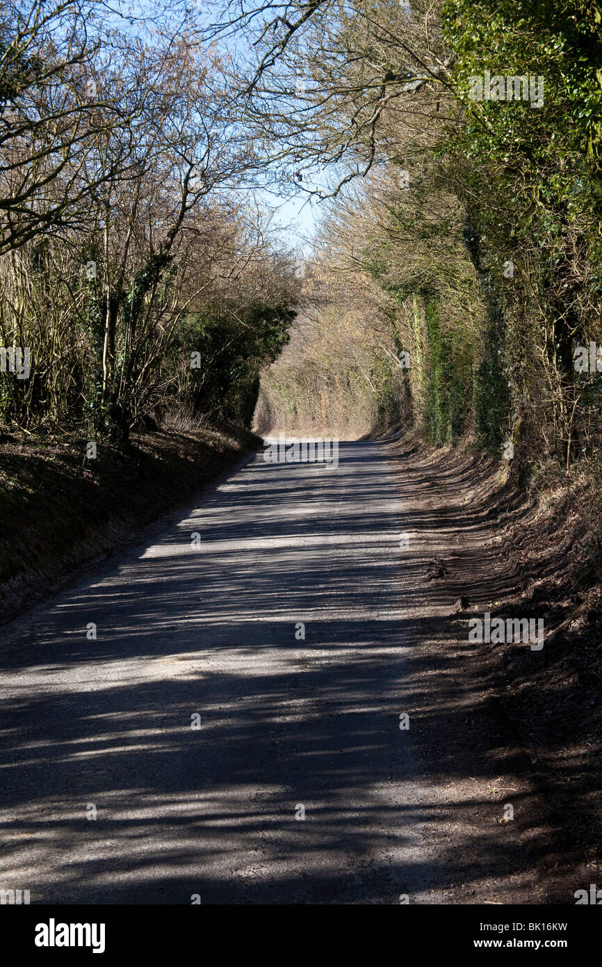 Rural country lane hi-res stock photography and images - Alamy