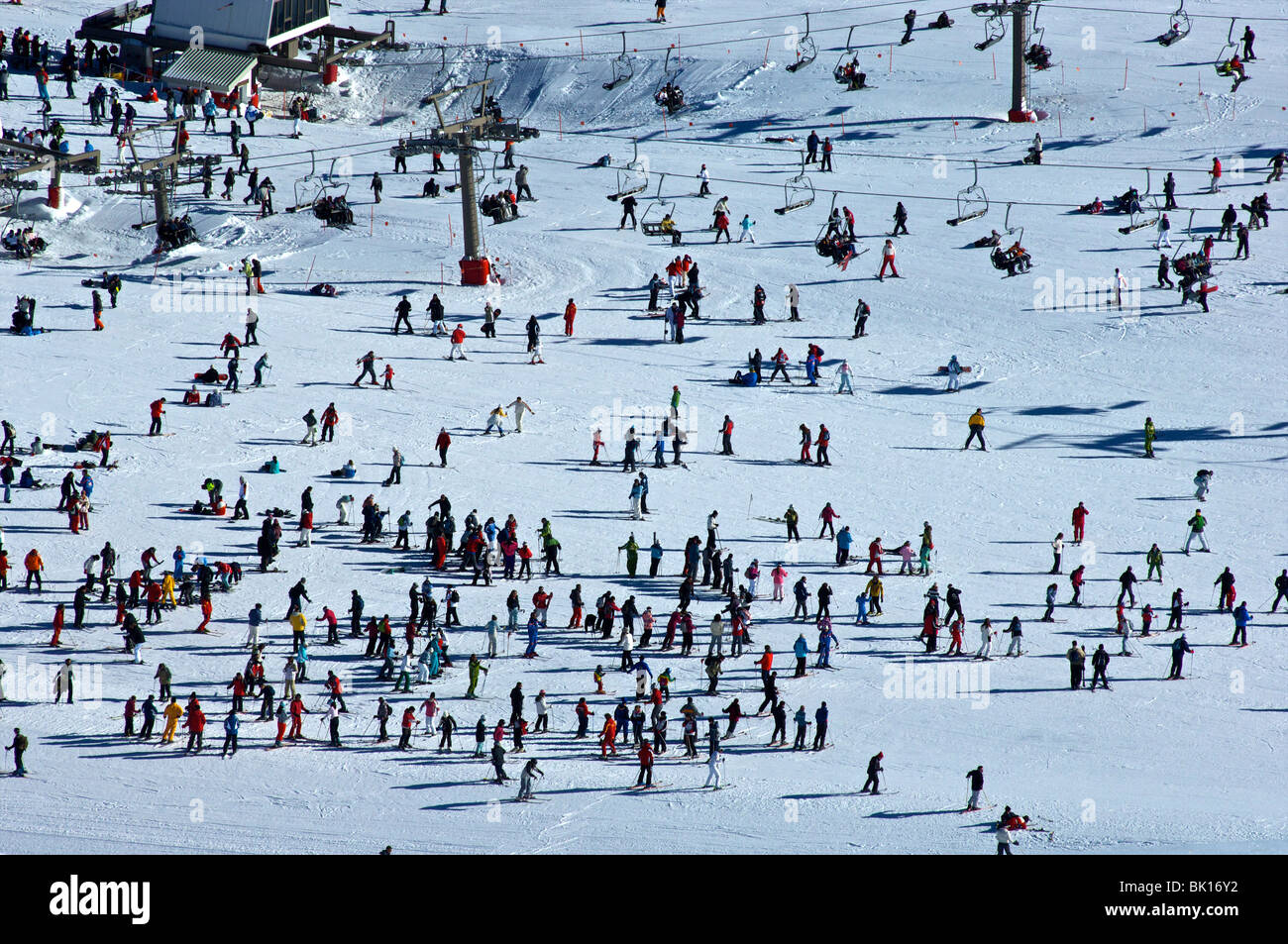 Crowd crowds crowded crowdy hi-res stock photography and images - Alamy