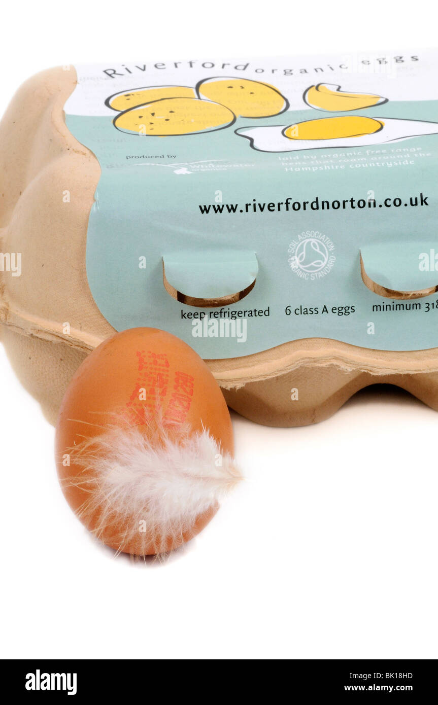 Free Range Organic Chicken S Egg Stock Photo Alamy