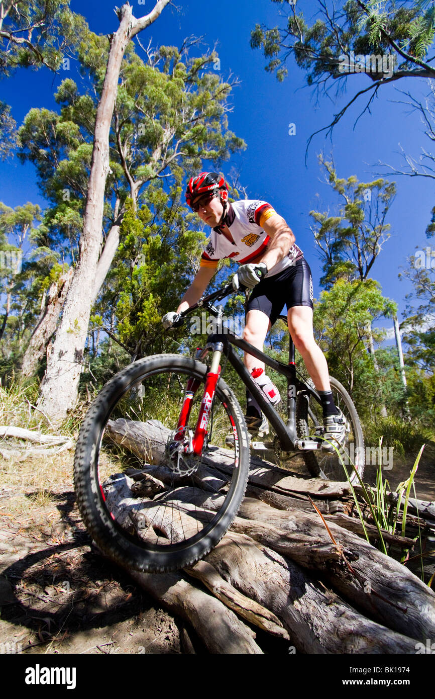 Riding helmut hi-res stock photography and images - Alamy