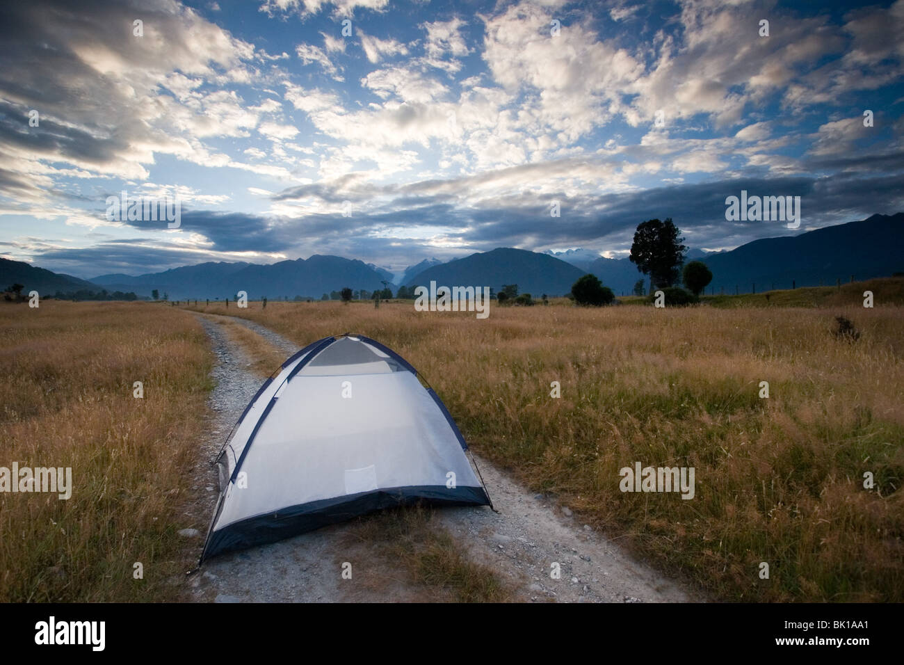 New Zealand camping close to Lake Matheson Stock Photo - Alamy