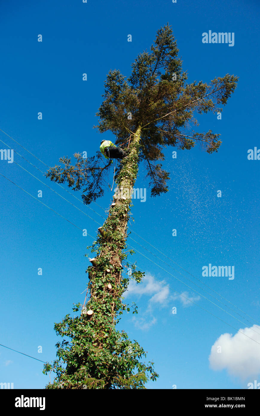 Overhead electric wires hi-res stock photography and images - Alamy