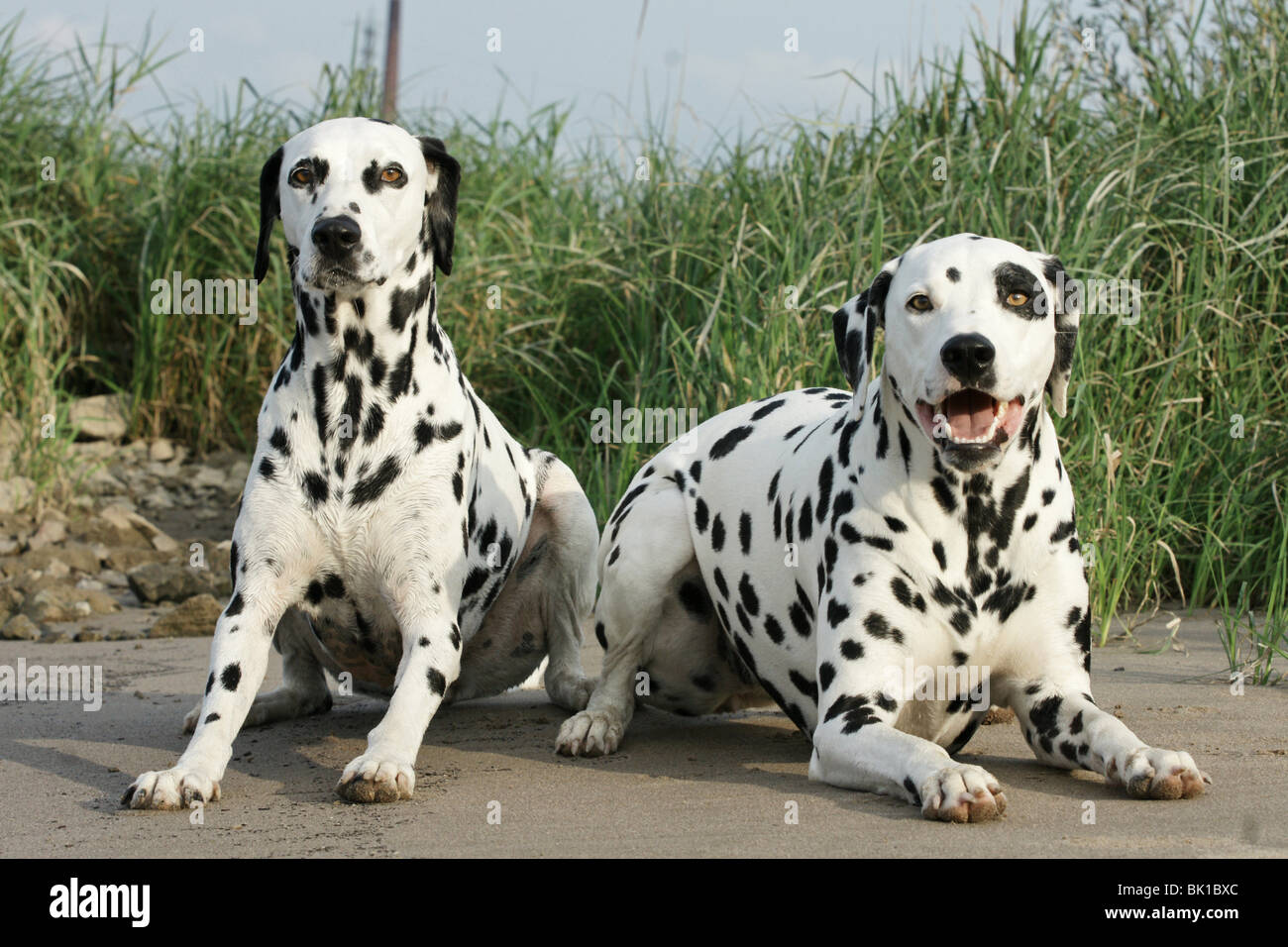Spotty pants hi-res stock photography and images - Alamy